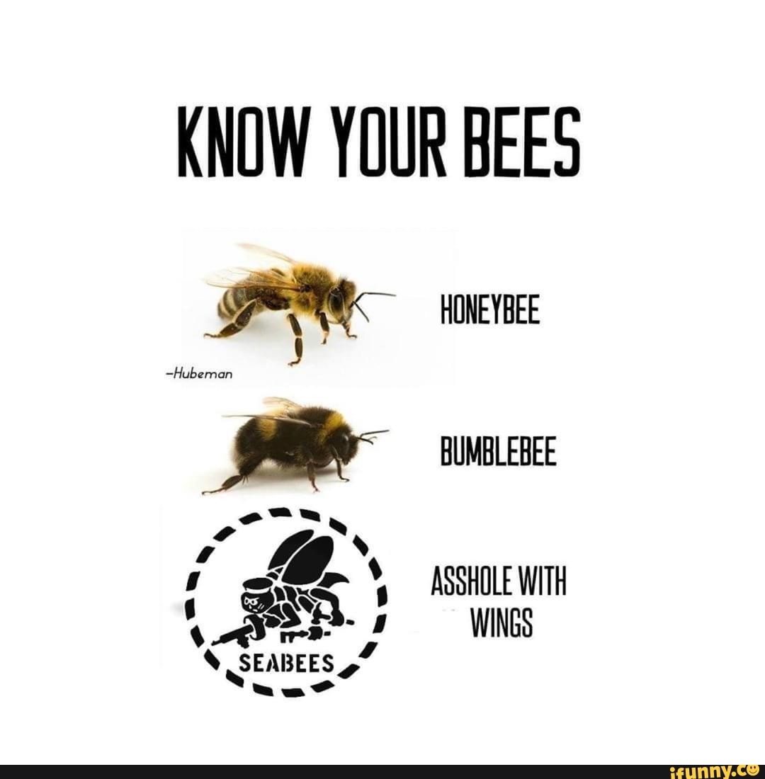 Seabee memes. Best Collection of funny Seabee pictures on iFunny