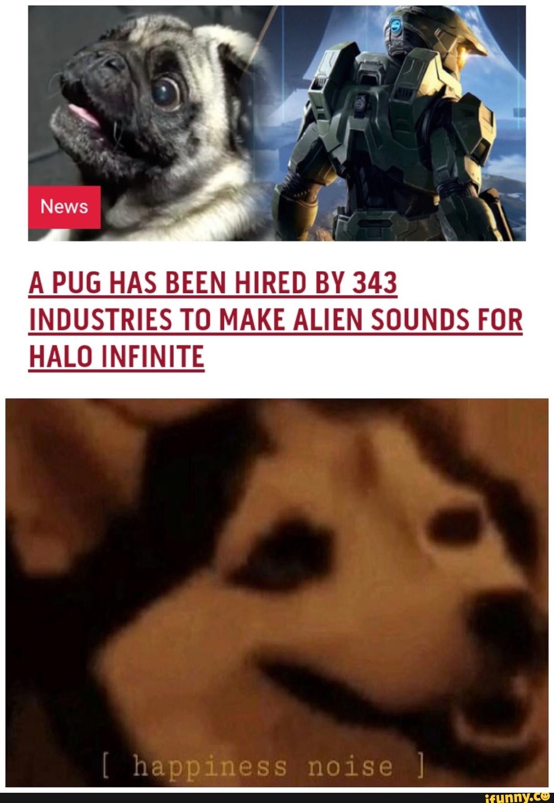 A PUG HAS BEEN HIRED BY 343 INDUSTRIES TO MAKE ALIEN SOUNDS FOR HALO ...