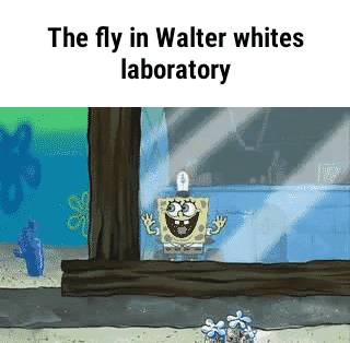The fly in Walter whites laboratory - iFunny