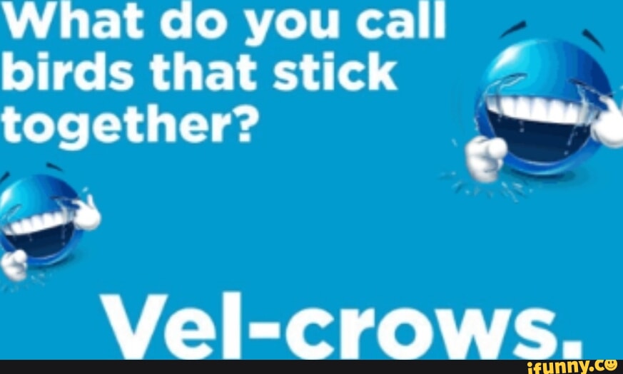 Crows memes. Best Collection of funny Crows pictures on iFunny