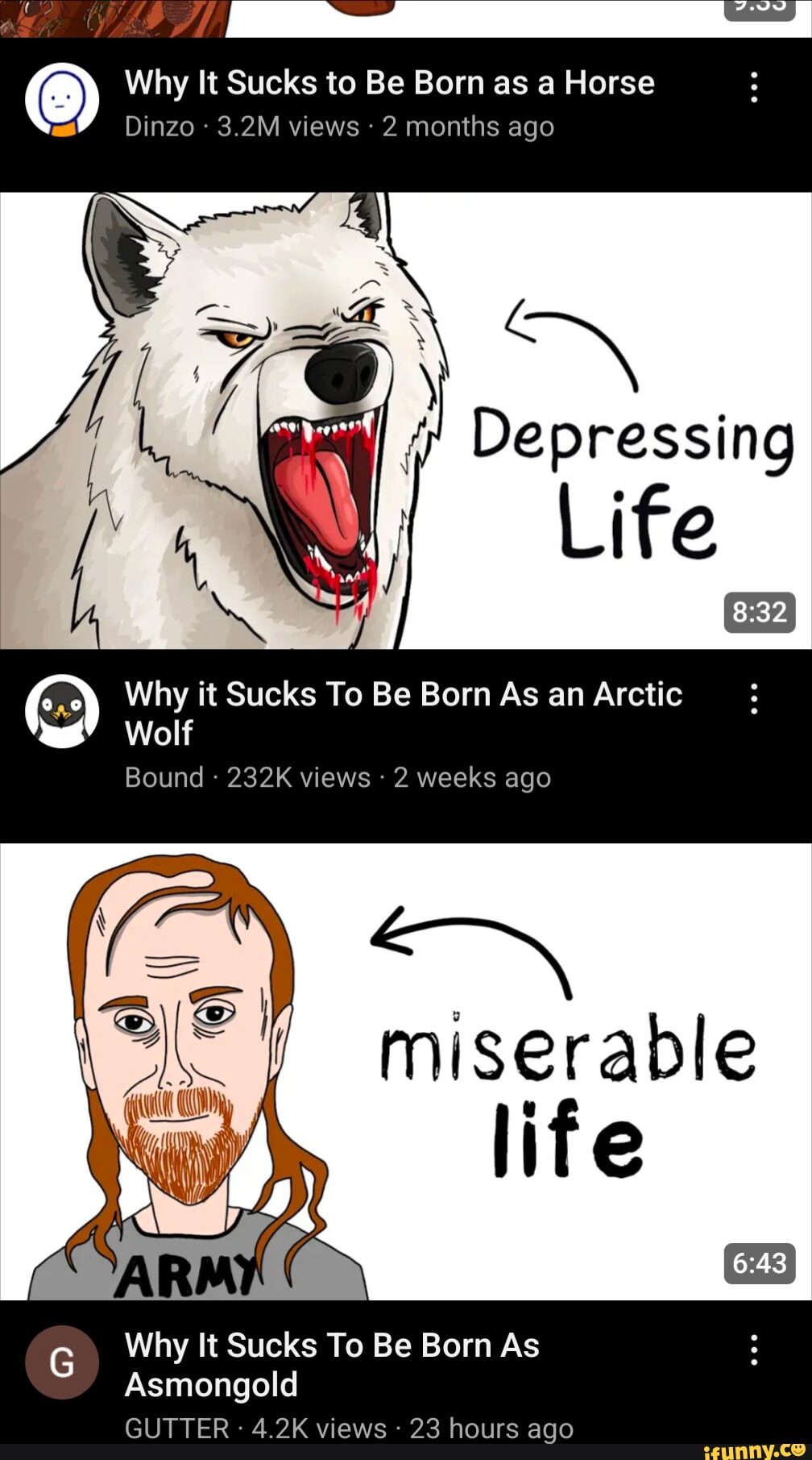 Why It Sucks to Be Born as a Horse Dinzo 3.2M views 2 months ago ...