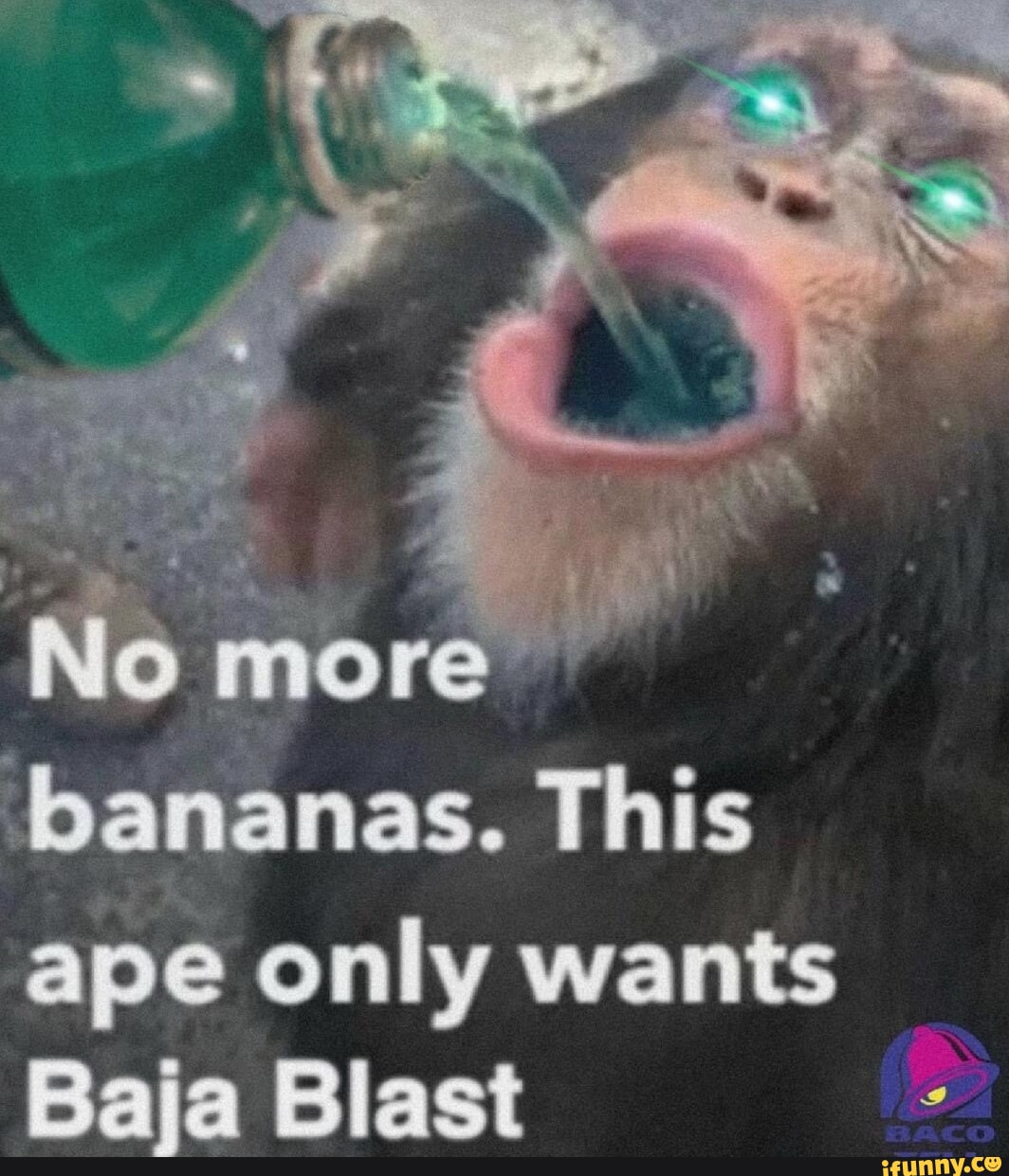 Ape memes. Best Collection of funny Ape pictures on iFunny