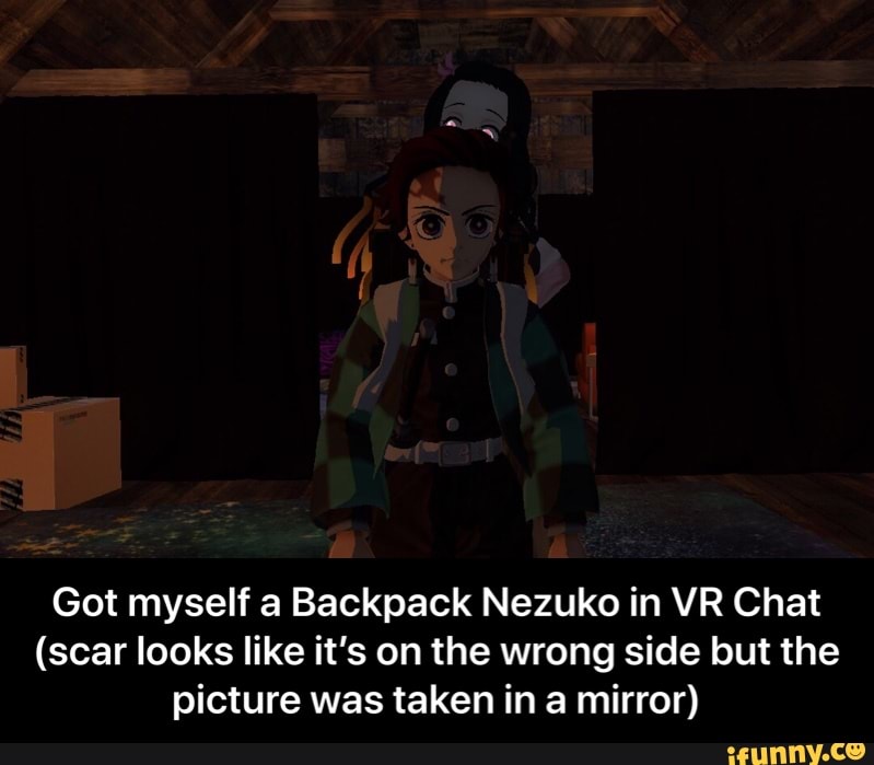 Got myself a Backpack Nezuko in VR Chat (scar looks like it's on the ...