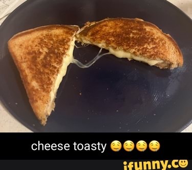 Toasty memes. Best Collection of funny Toasty pictures on iFunny