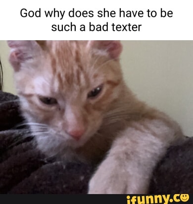 Texter memes. Best Collection of funny Texter pictures on iFunny