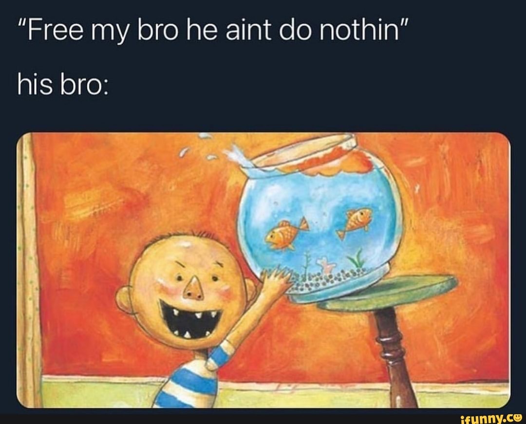 Free my bro he it do nothin" his bro: - iFunny