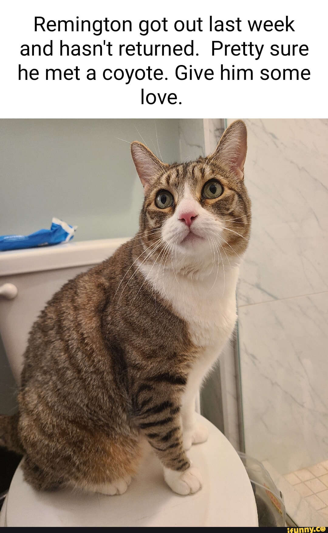 ON A SCALE OF GROHL HOW ARE YOU FEELING TODAY - iFunny