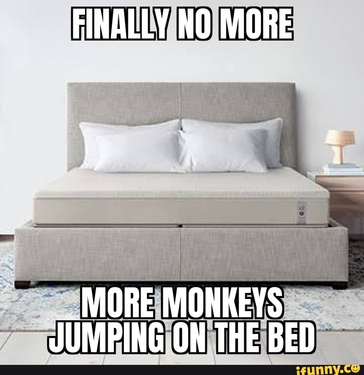 FINALLY NO MORE MORE MONKEYS JUMPING ON THE BED - iFunny