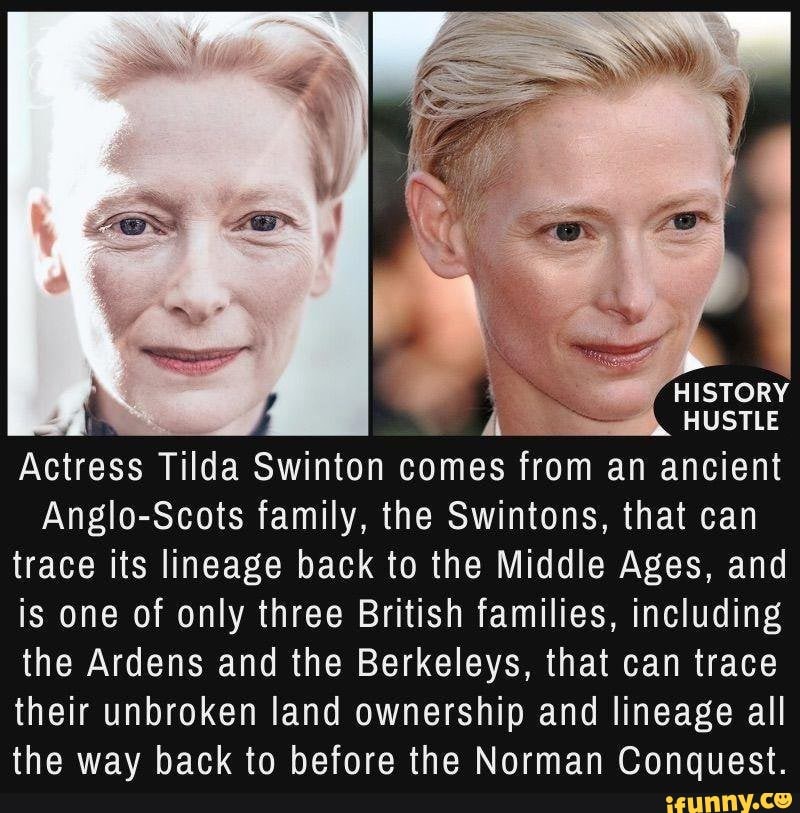 HISTORY A HUSTLE Actress Tilda Swinton comes from an ancient Anglo ...