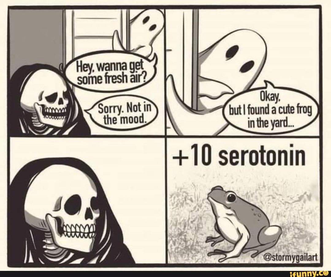 Okay, but I found a cute frog inthe yard... +10 serotonin Ba - iFunny