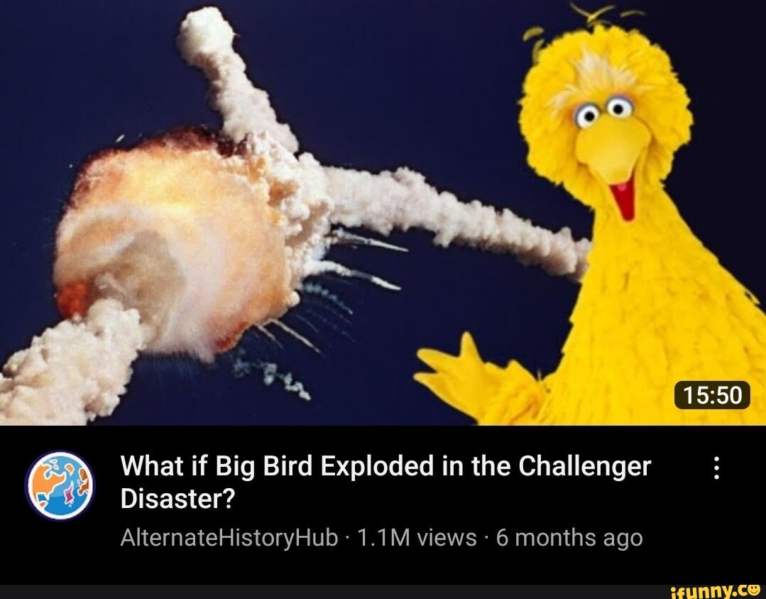 What if Big Bird Exploded in the Challenger Disaster ...
