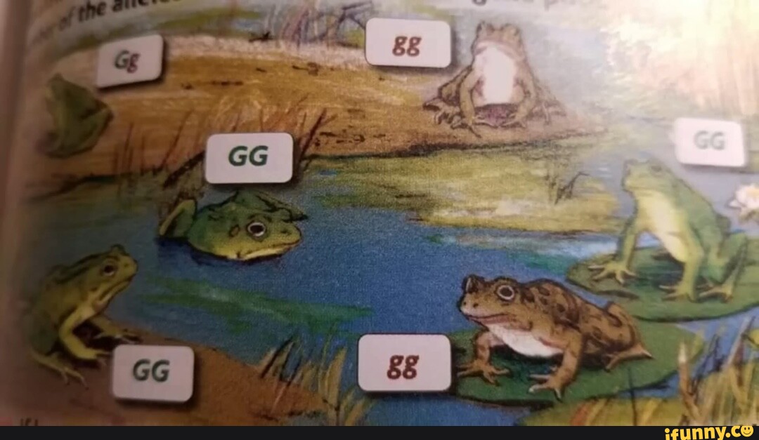Ggggggg memes. Best Collection of funny Ggggggg pictures on iFunny
