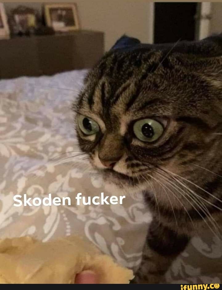 Skoden memes. Best Collection of funny Skoden pictures on iFunny