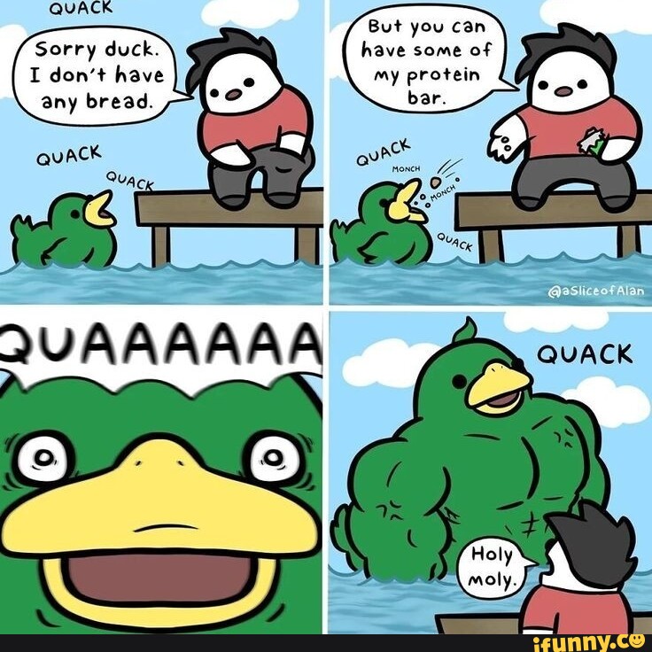 But you can have some of my protein Sorry duck. I don't have any bread ...