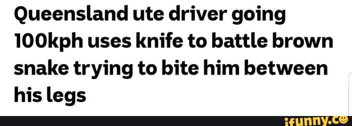 Queenslander memes. Best Collection of funny Queenslander pictures on ...