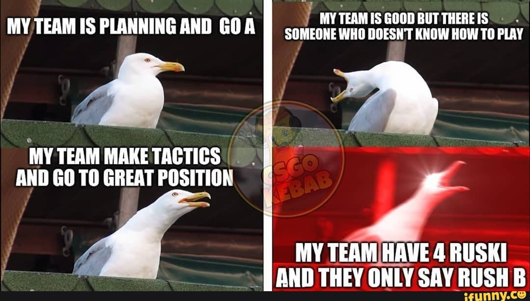 Picher memes. Best Collection of funny Picher pictures on iFunny