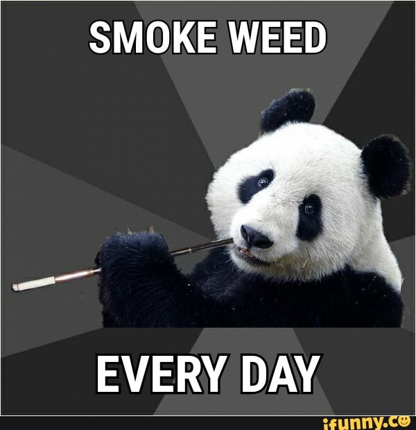 Drunk Panda Meme