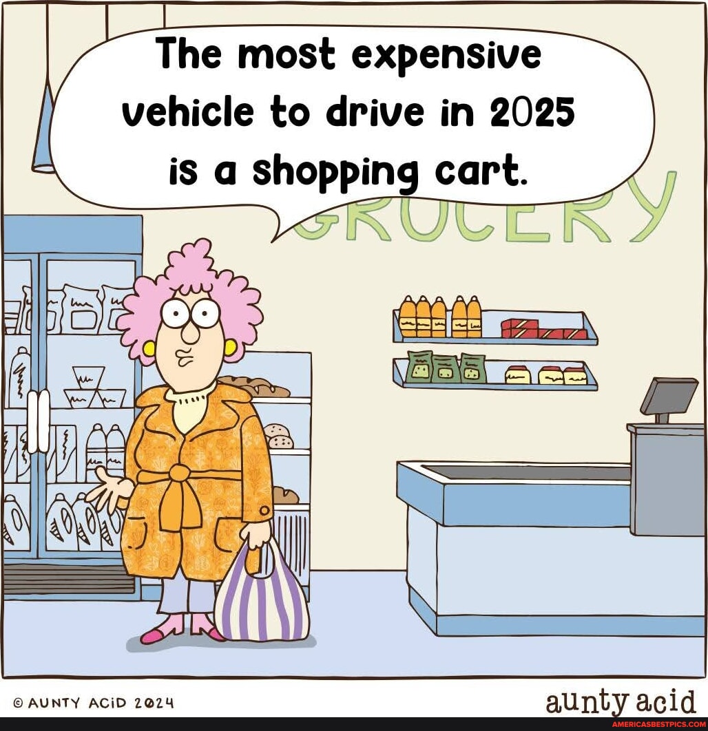 -The most expensive vehicle to drive in 2025 is a shopping cart. AUUIL ...