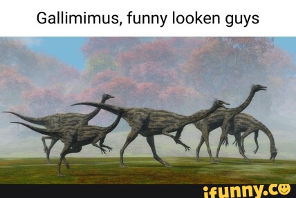 Gallimimus memes. Best Collection of funny Gallimimus pictures on iFunny