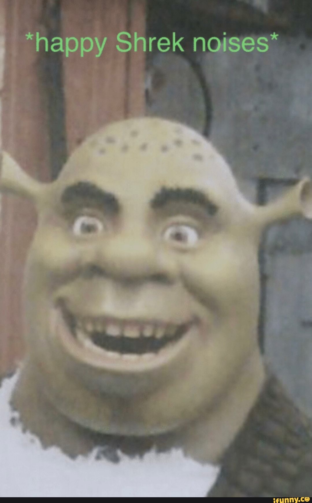 , *happy Shrek noises* - iFunny