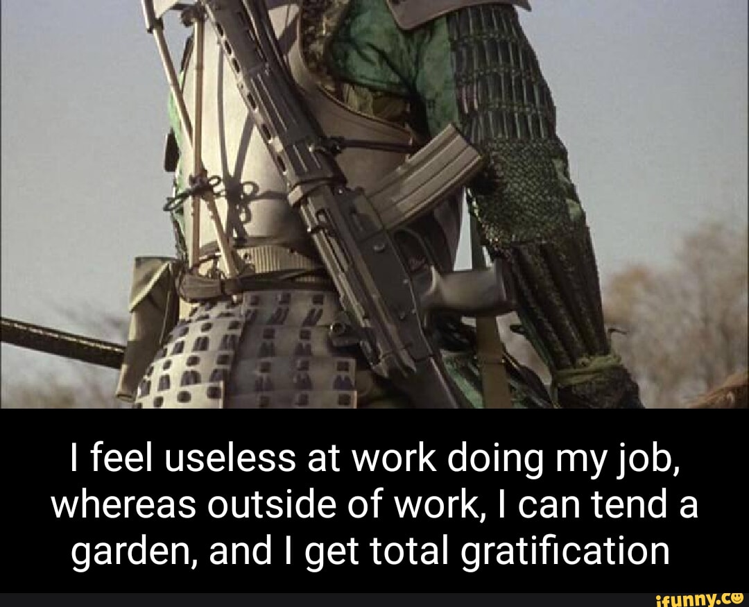 Gratification memes. Best Collection of funny Gratification pictures on ...