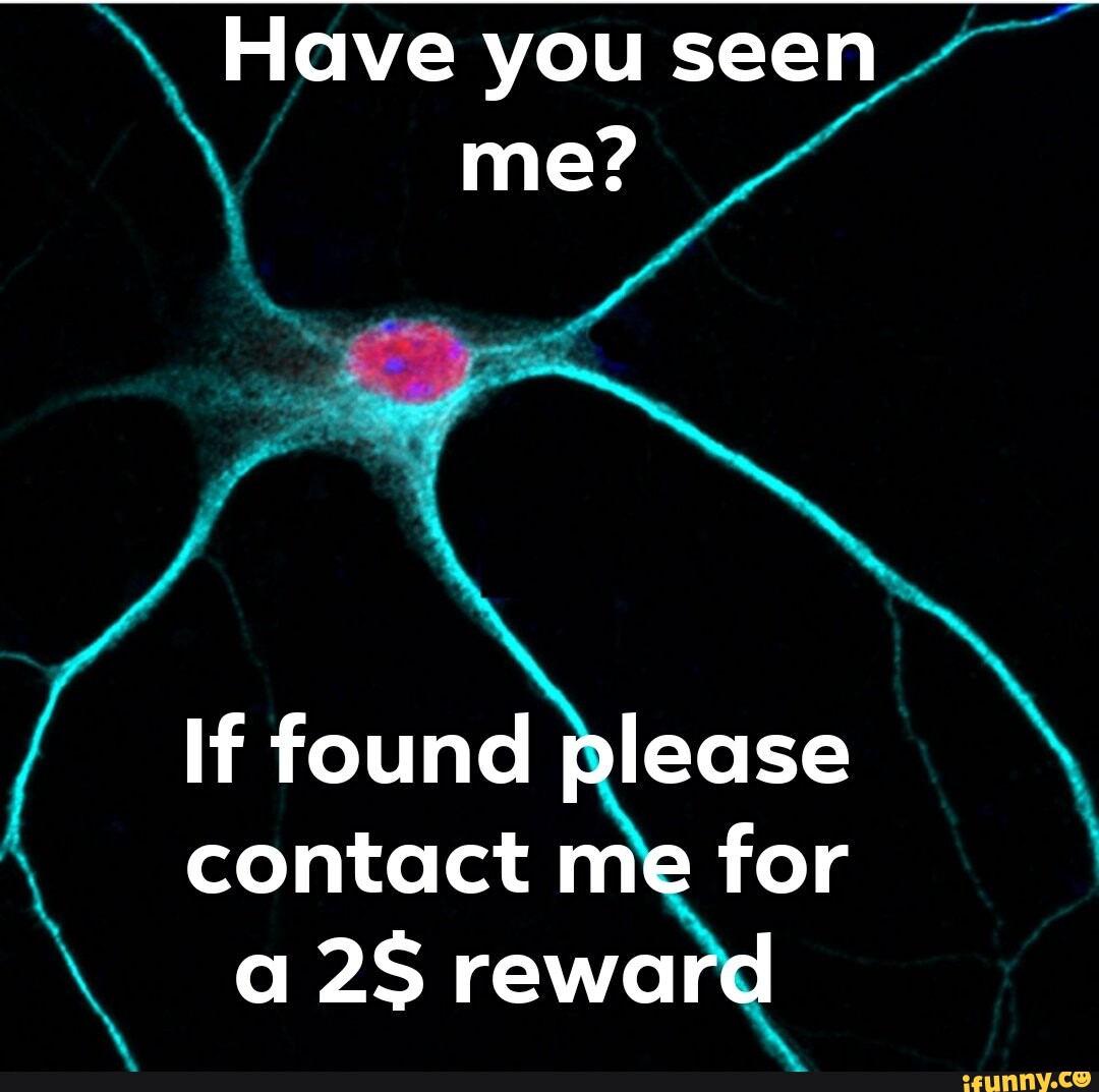 Have you seen me? If found please contact me for a reward - iFunny