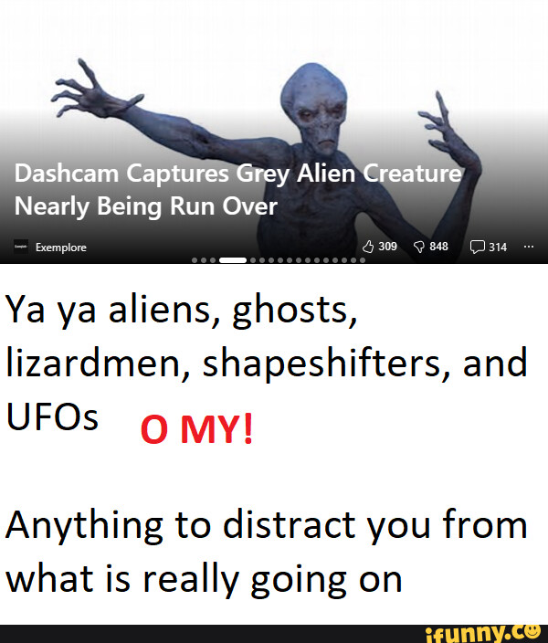 Dashcam Captures Grey Alien Creature Nearly Being Run Over Ya ya aliens ...