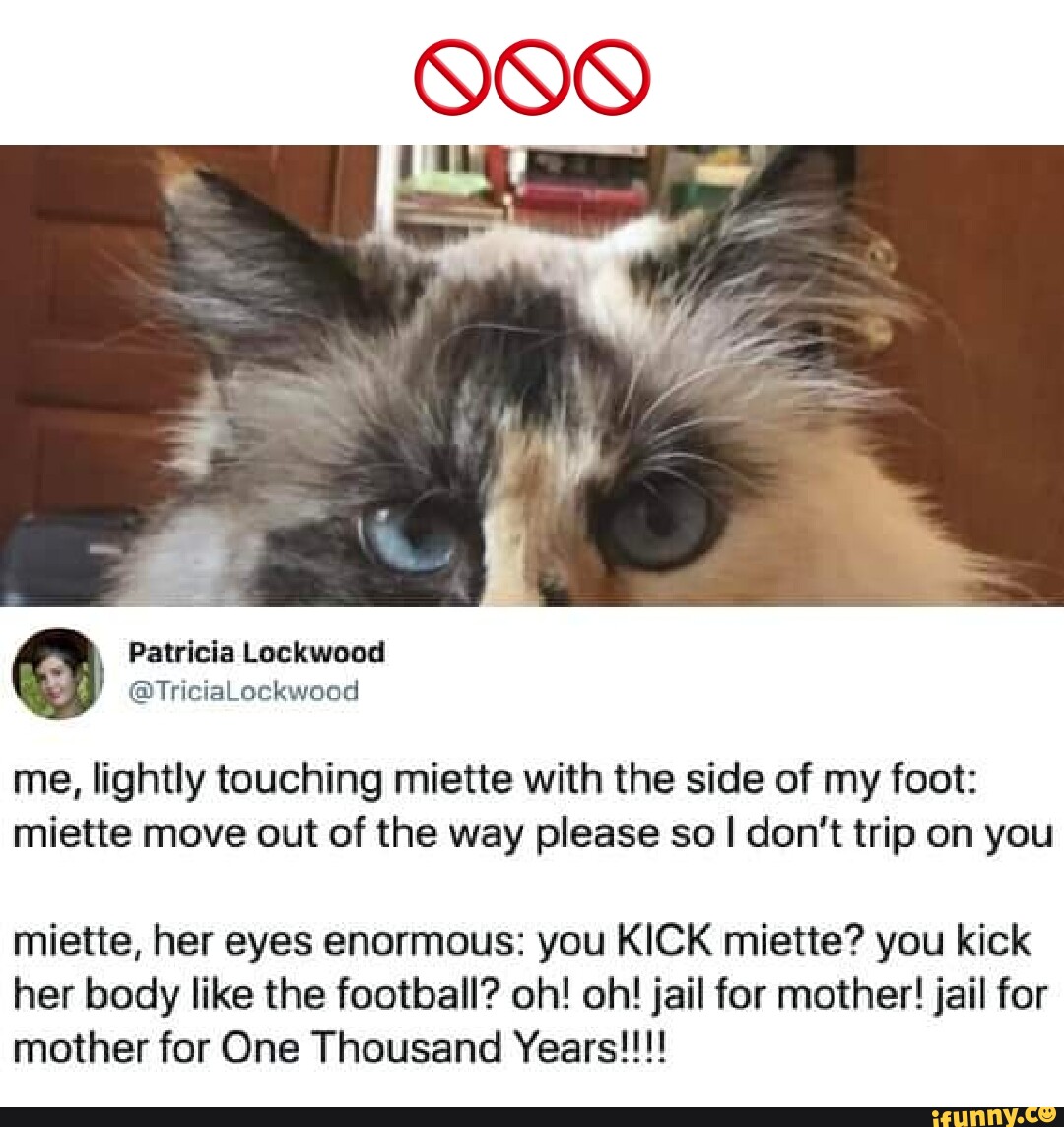 Miette memes. Best Collection of funny Miette pictures on iFunny