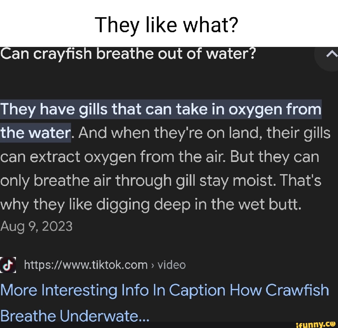 Crayfish memes. Best Collection of funny Crayfish pictures on iFunny