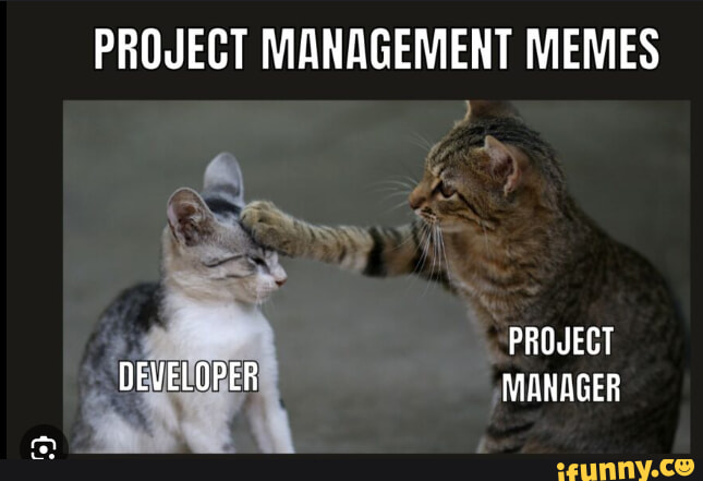 I thought the developer was the leader.. - i thought the developer was ...
