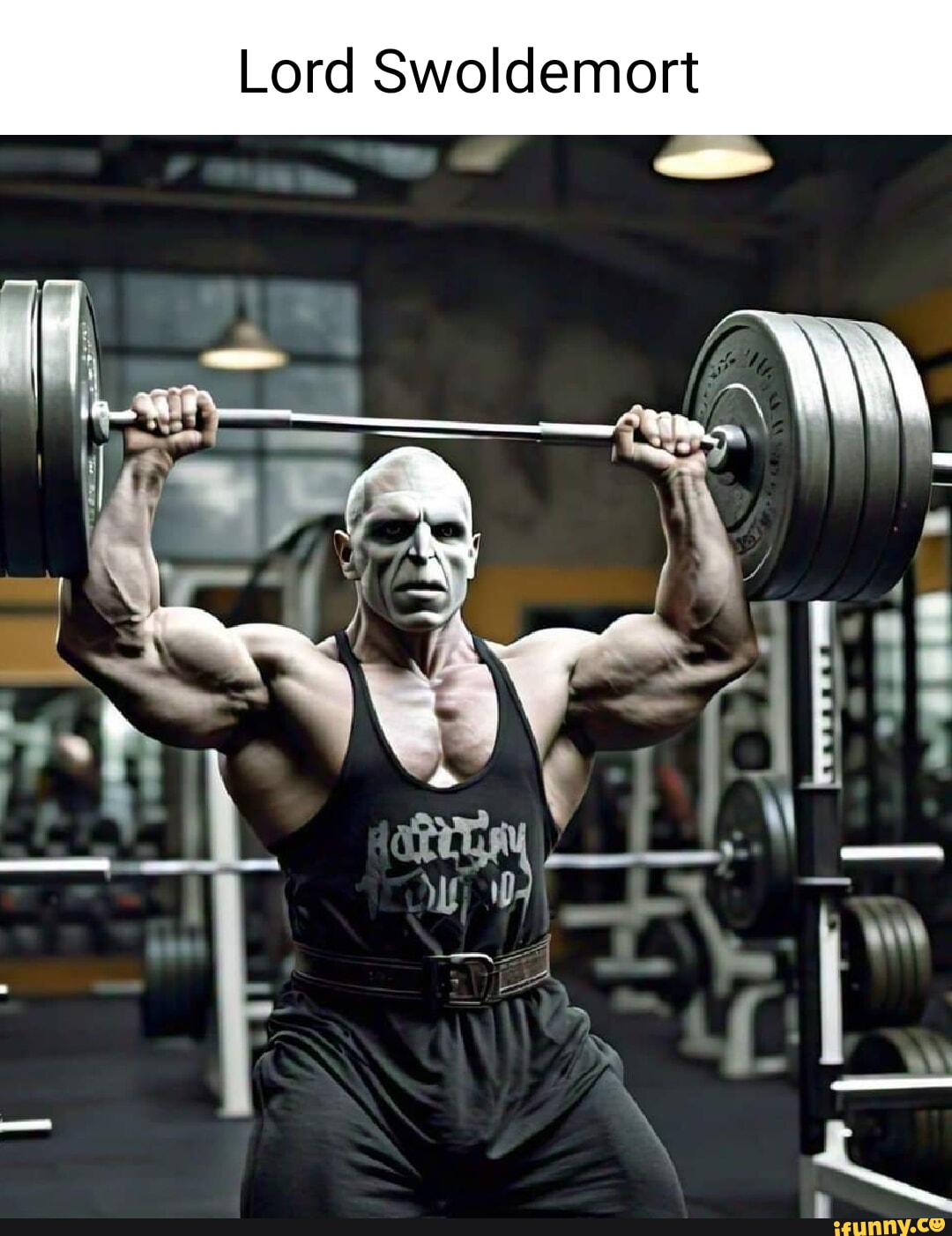 Harrypotter memes. Best Collection of funny Harrypotter pictures on iFunny