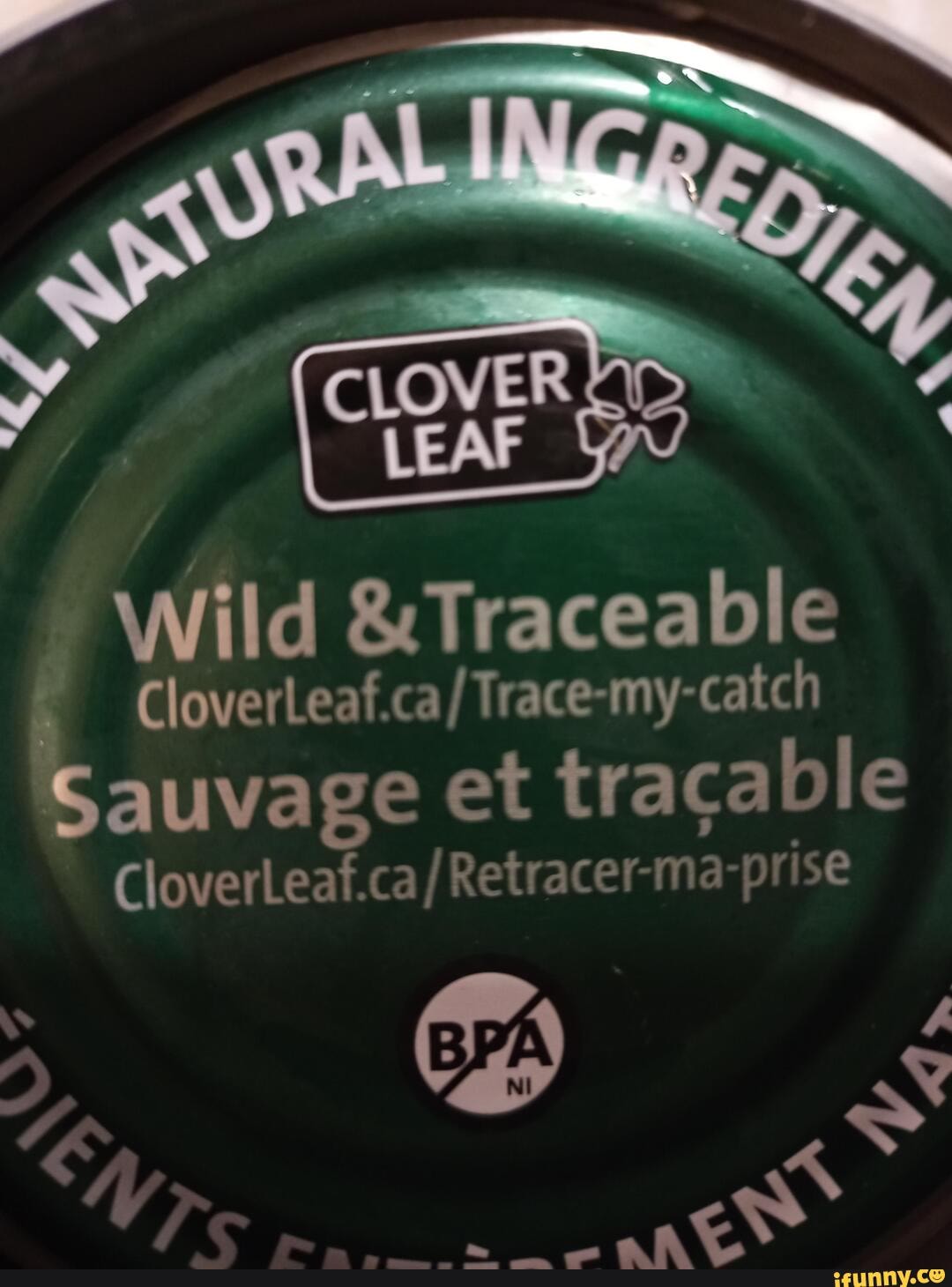 Tracable memes. Best Collection of funny Tracable pictures on iFunny