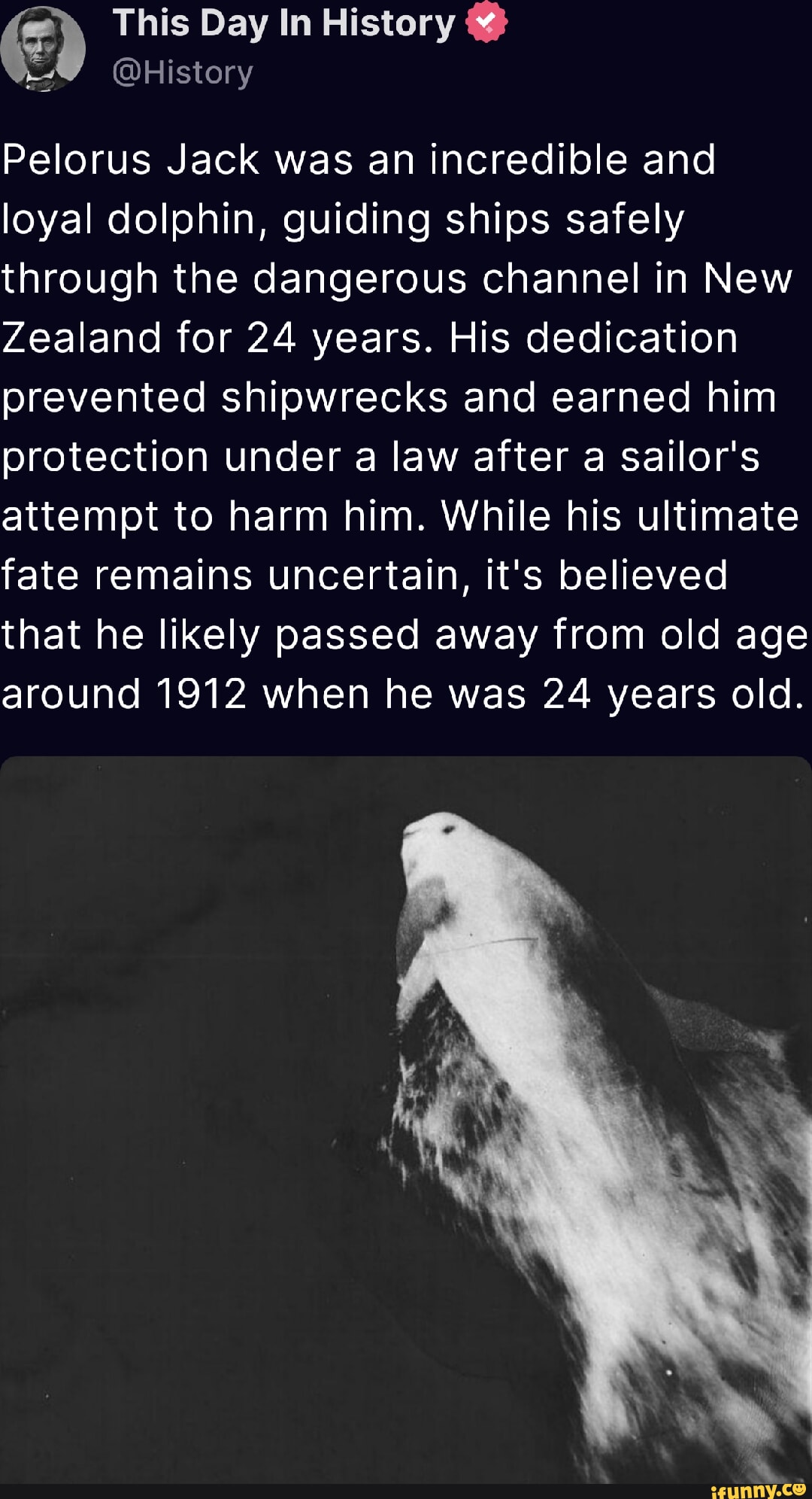 Guiding memes. Best Collection of funny Guiding pictures on iFunny