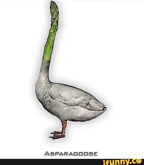 Animorphs memes. Best Collection of funny Animorphs pictures on iFunny