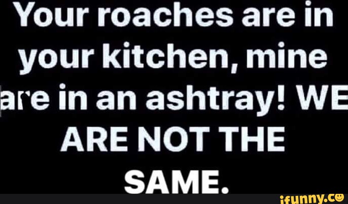 Ashtray memes. Best Collection of funny Ashtray pictures on iFunny