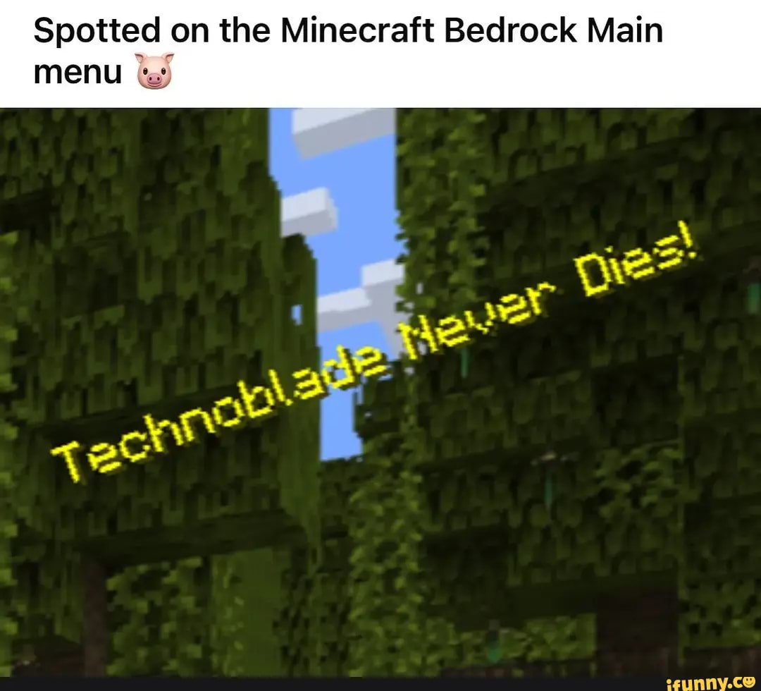 Spotted on the Minecraft Bedrock Main menu - iFunny