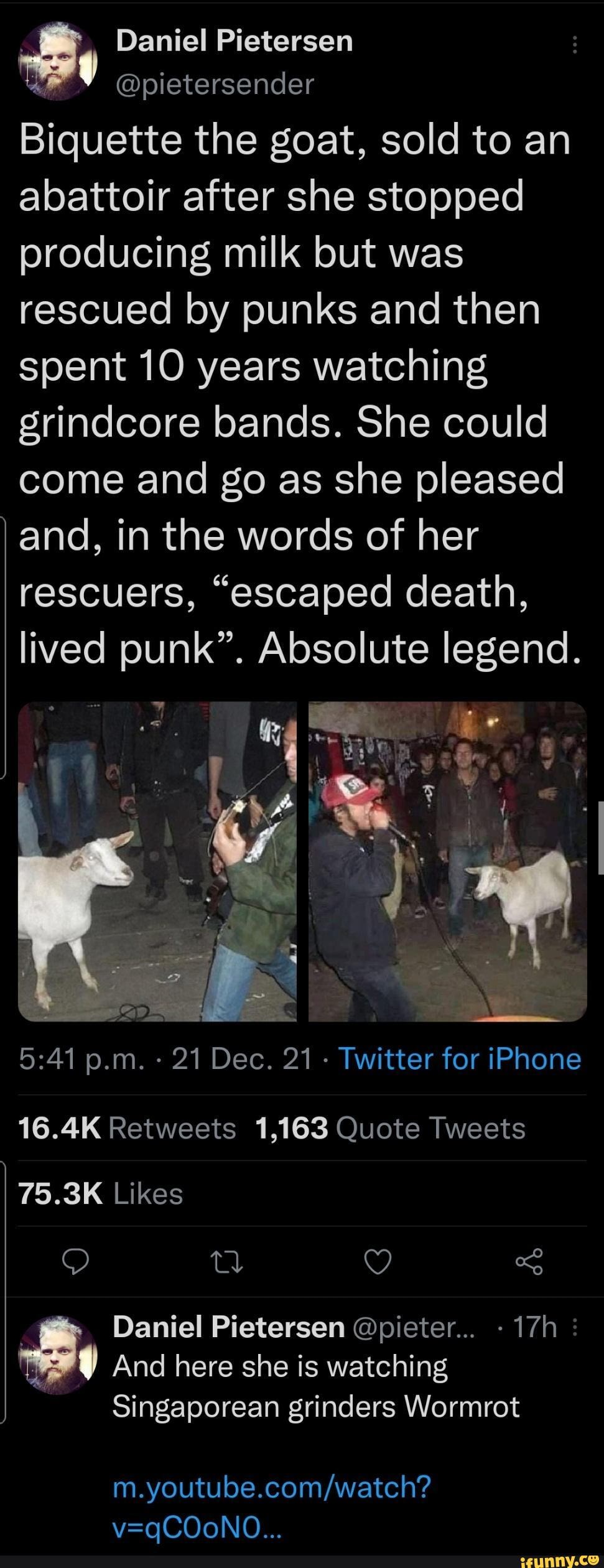 Daniel Pietersen Biquette the goat, sold to an abattoir after she ...