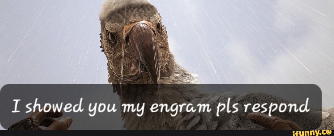 Engram Memes
