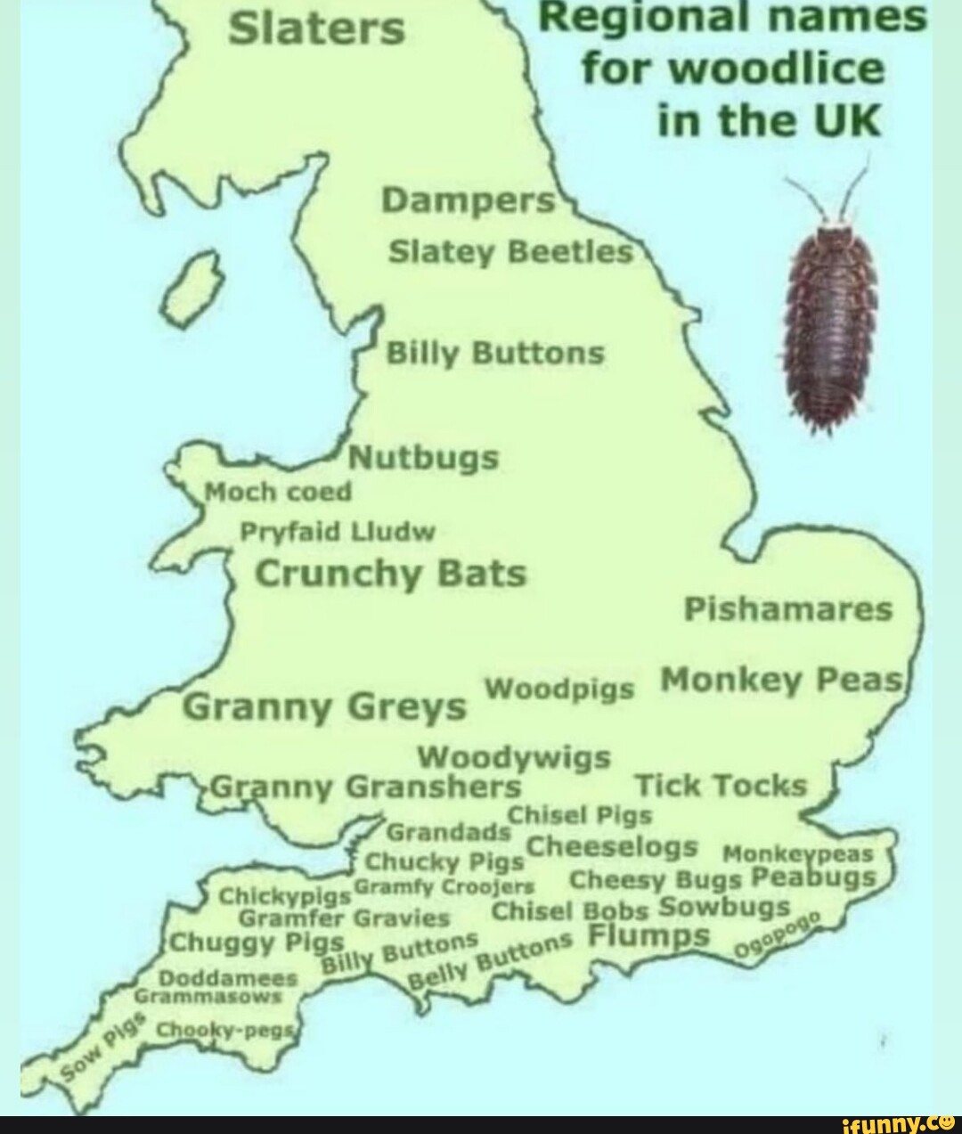 Tick memes. Best Collection of funny Tick pictures on iFunny