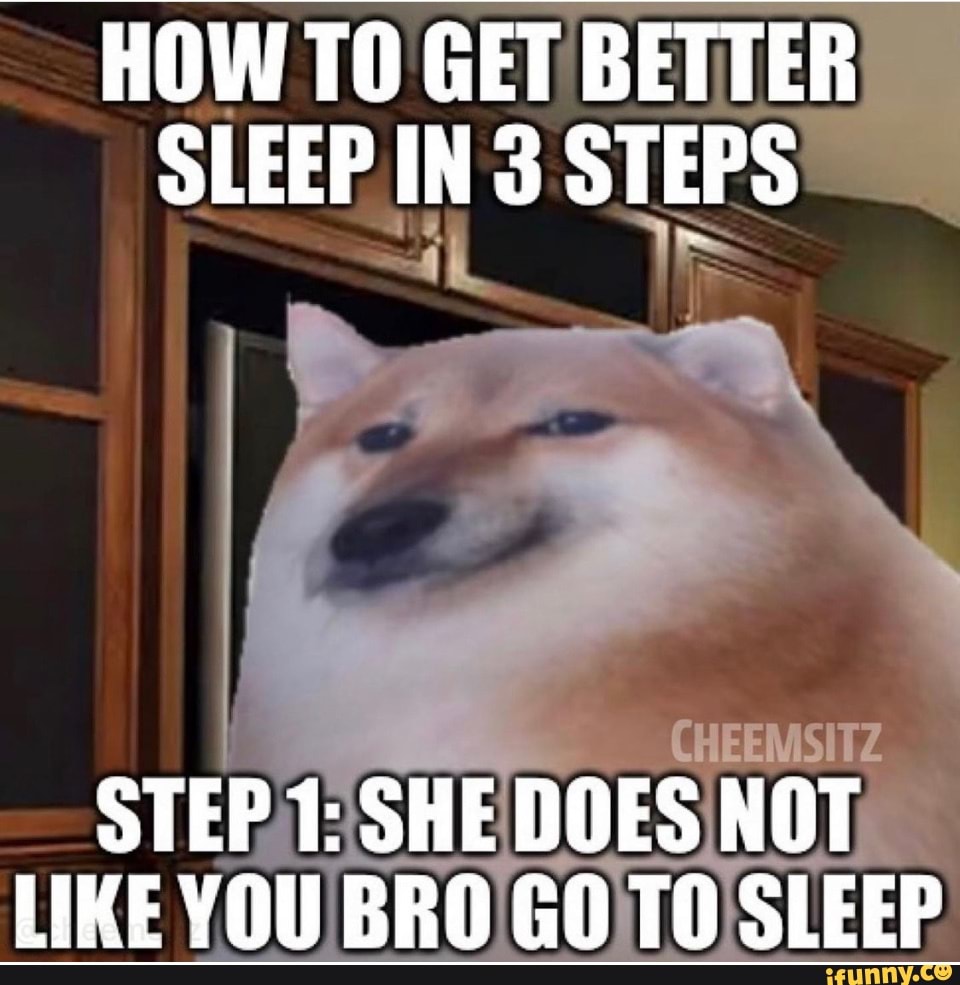 HOW TO GET BETTER SLEEP IN 3 STEPS CHEEMSITZ STEP 1: SHE DOES NOT LIKE ...