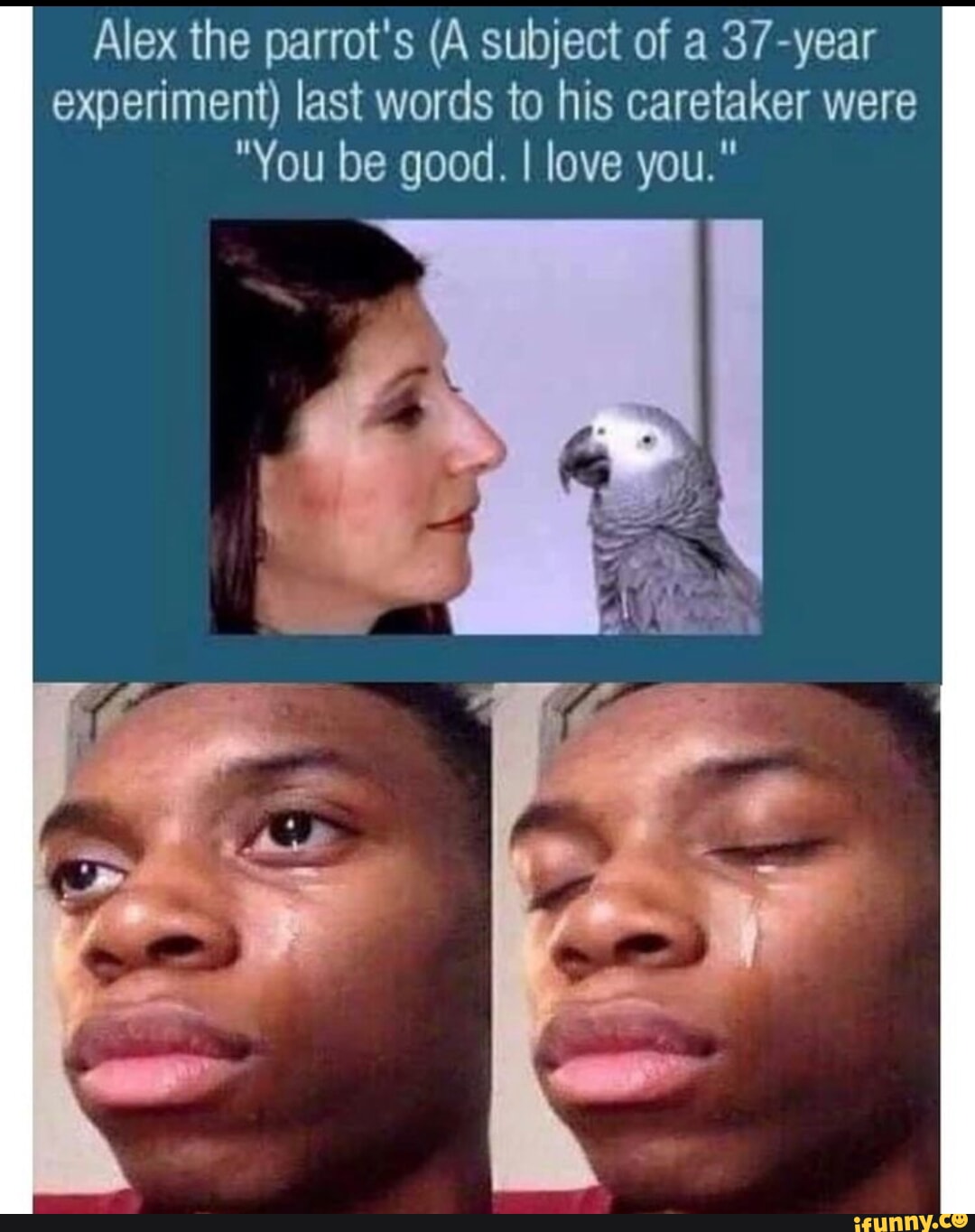 Caretaker memes. Best Collection of funny Caretaker pictures on iFunny
