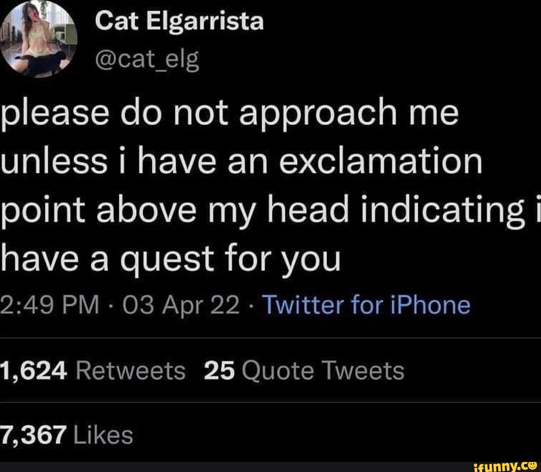 Cat Elgarrista please do not approach me unless have an exclamation ...