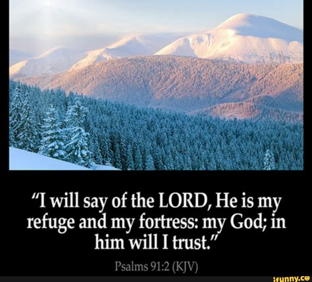 Will say of the LORD, He is my refuge and my fortress: my God; in him ...