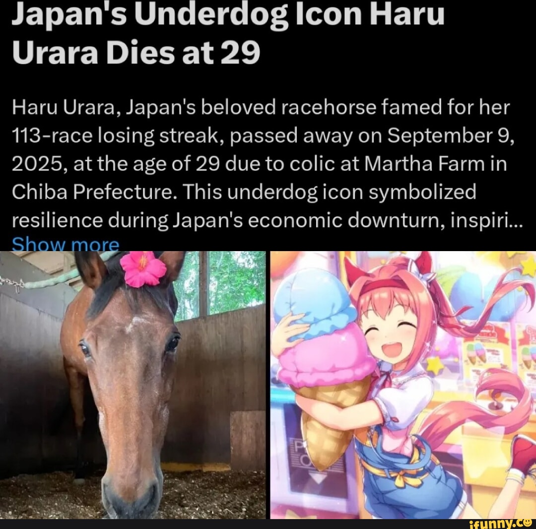 Japan's Underdog Icon Haru Urara Dies at 29 Haru Urara, Japan's beloved racehorse famed for her ...