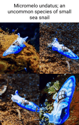 Oceanography memes. Best Collection of funny Oceanography pictures on ...