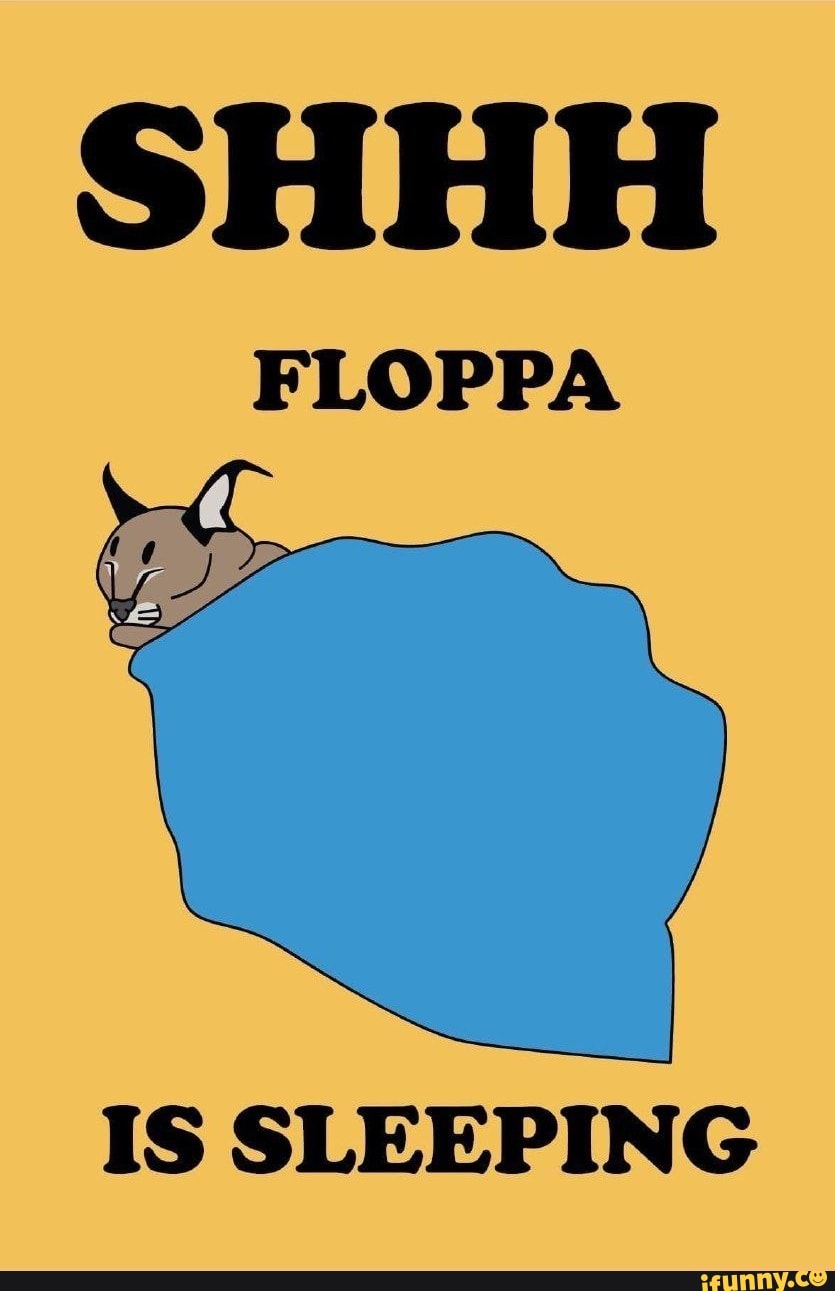 SHHH FLOPPA IS SLEEPING - iFunny