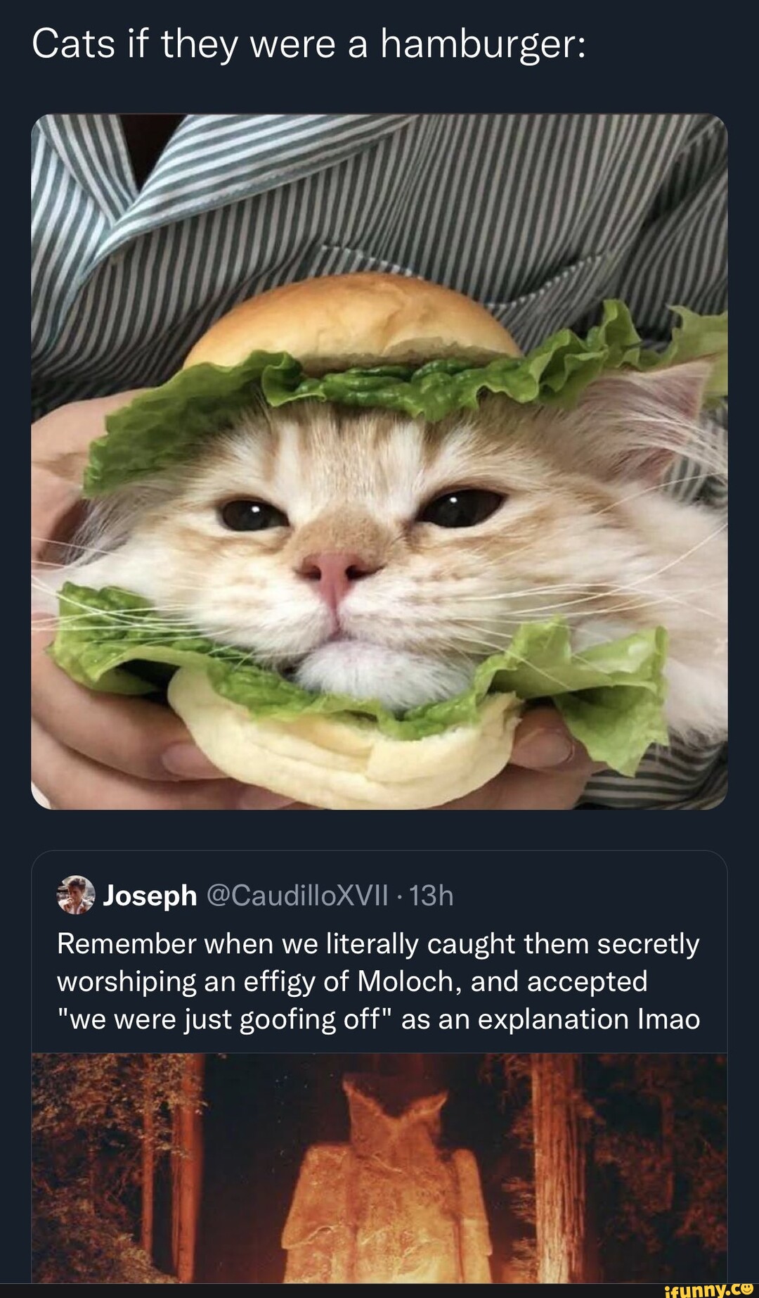 Cats if they were a hamburger: & Joseph @CaudilloXVIl Remember when we ...