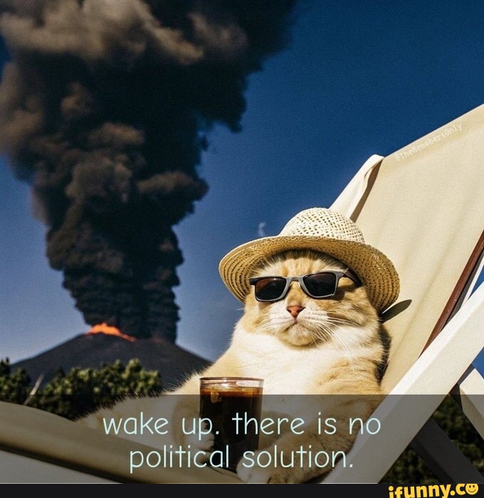 Wake up. there is no political solution. - iFunny