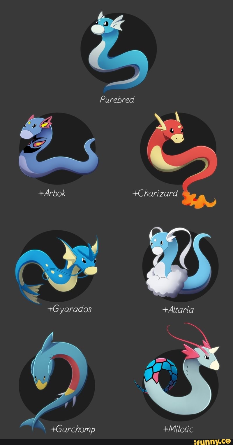 Pokemon Arbok Evolution Chart