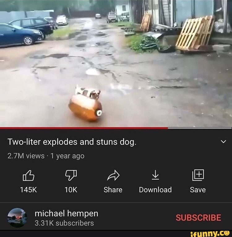 Two-liter explodes and stuns dog. 2.7M views 1 year ago a L 145K Share ...